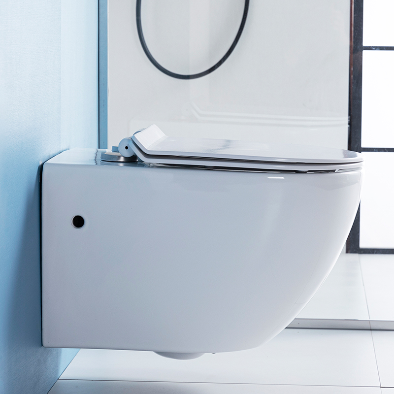 European Style Wall-hung Toilet With Bidet, High Quality European Style ...