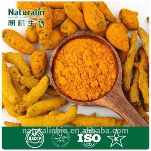 Turmeric Curcumin 95% Hplc For Function Foods And Beverages, High ...