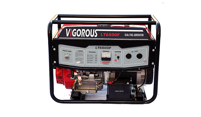 6kw Dual Fuel Generator, Bossgoo.com의 고품질 6kw Dual Fuel Generator