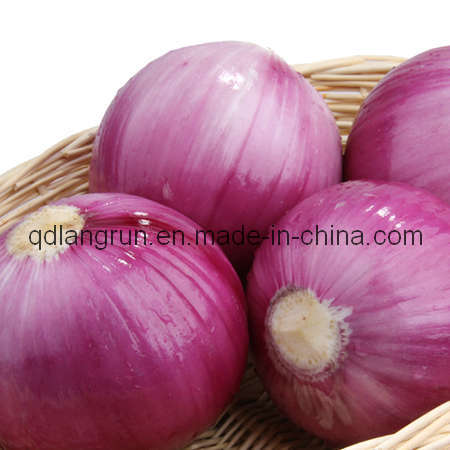 Peeled Red Onion, High Quality Peeled Red Onion on Bossgoo.com