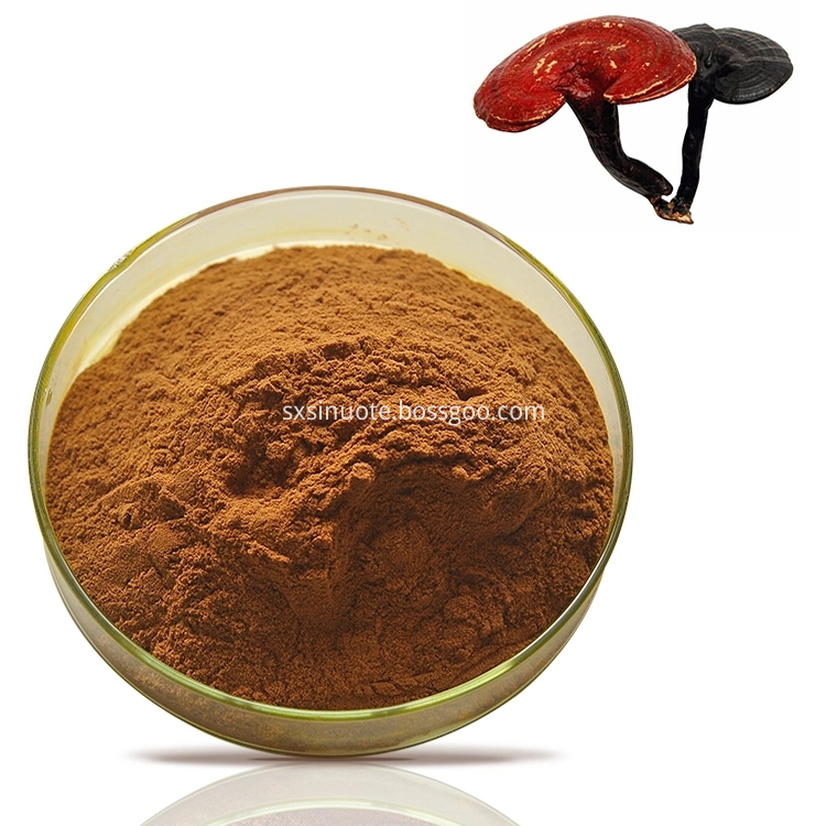 ผนังแห้ง Ganoderma Lucidum Spore Powder Reishi คุณภาพสูง ผนังแห้ง ...