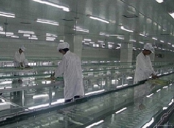 Gastric Mucin Supplement Bulk Powder Cas 84082-64-4, High Quality ...