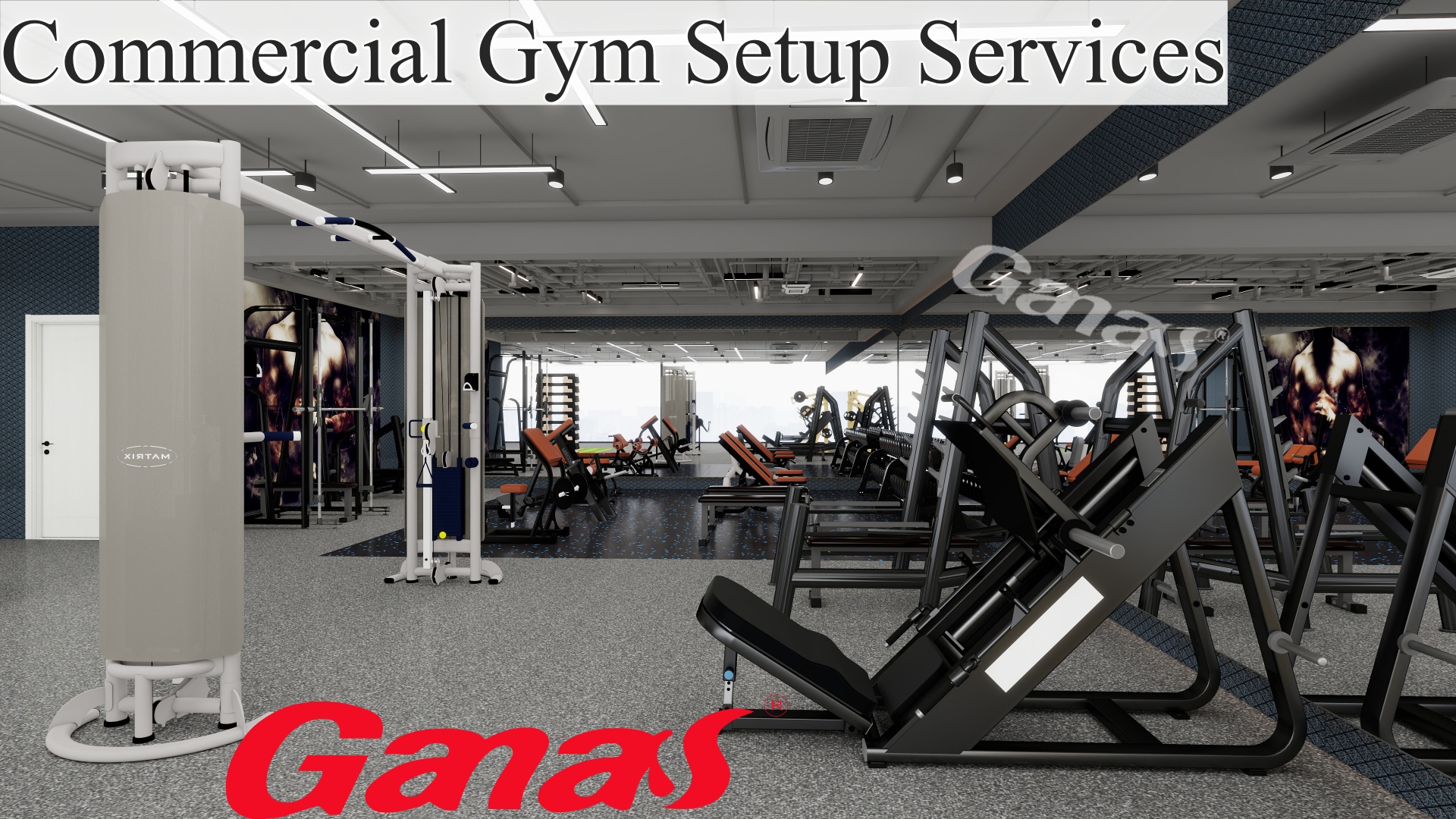 Commercial Gym Setup Services