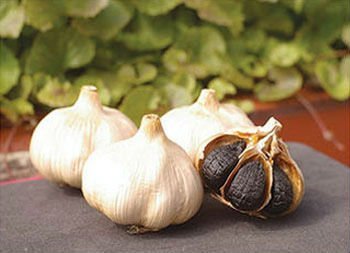 Odorless Fermented Black Garlic---powder&liquid, High Quality Odorless ...