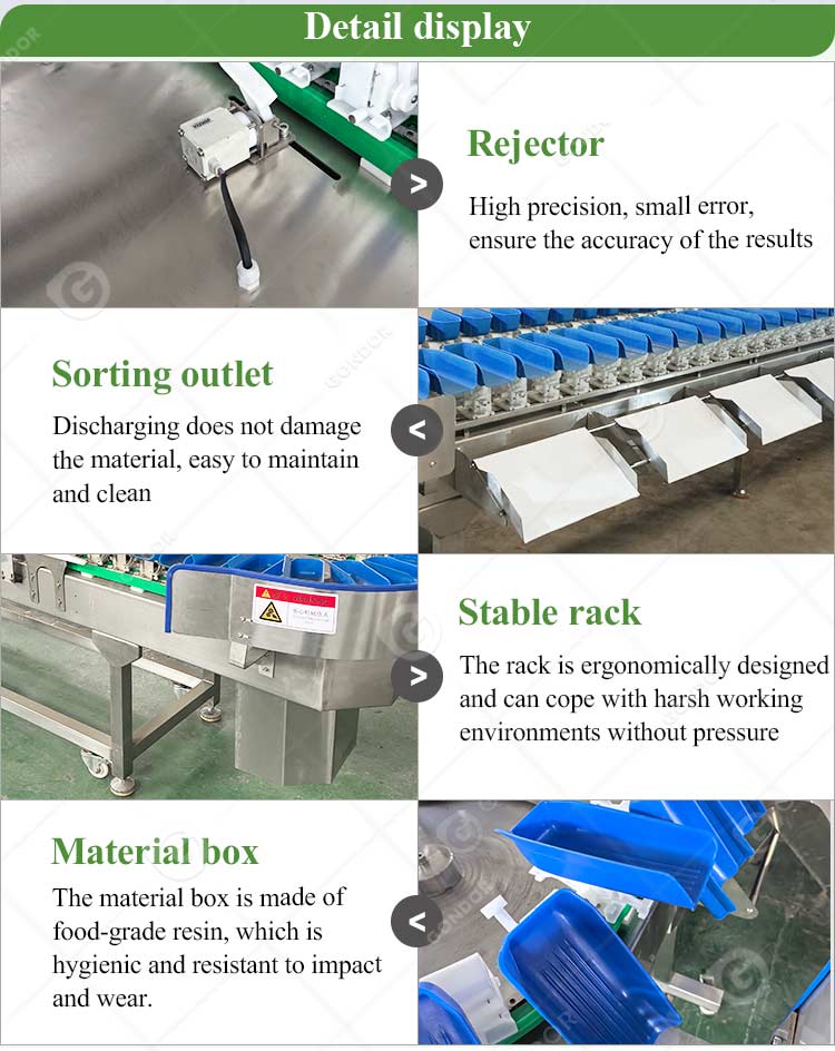 Automatic Seafood And Fruit Size Sorting Machine For Chicken, Shrimp ...