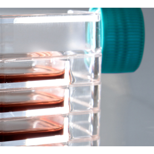 5-layer Lab cell culture flask China Manufacturer