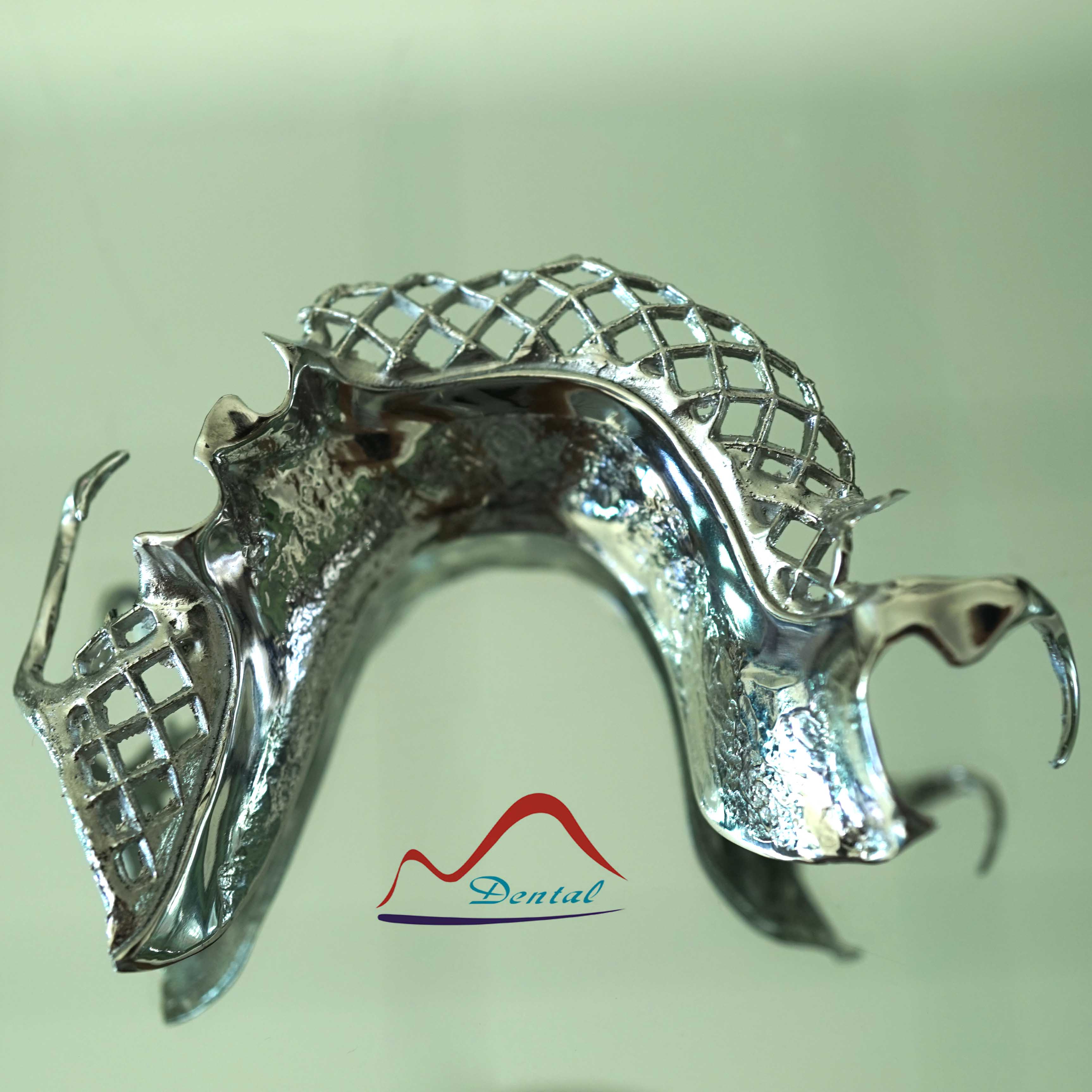 Bego Cast Partial Framework, High Quality Bego Cast Partial Framework ...