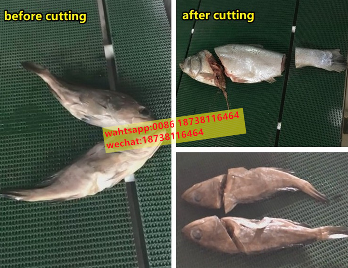 High Performance Fish Head Tail Removal And Segmentation Machine For ...