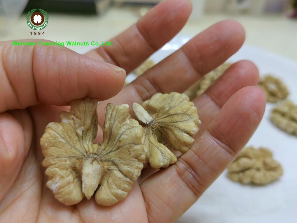 Sweet And Crispy Chinese Walnut Kernels Light Halves, High Quality ...