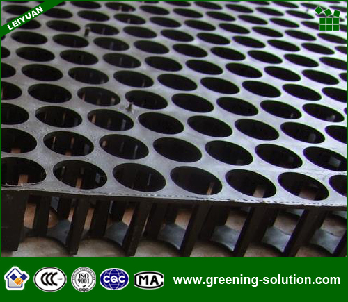 Plastic Drainage Cells For Roof Garden Ly11, High Quality Plastic ...