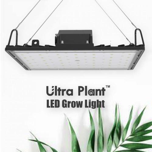730nm Far Red Vertical Farming Led Grow Light, High Quality 730nm Far ...