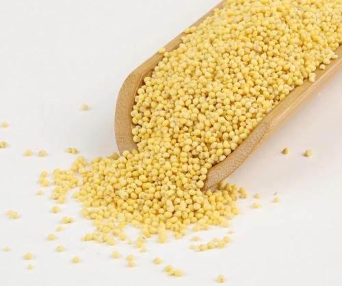 Proso Millet Rice, High Quality Proso Millet Rice on Bossgoo.com