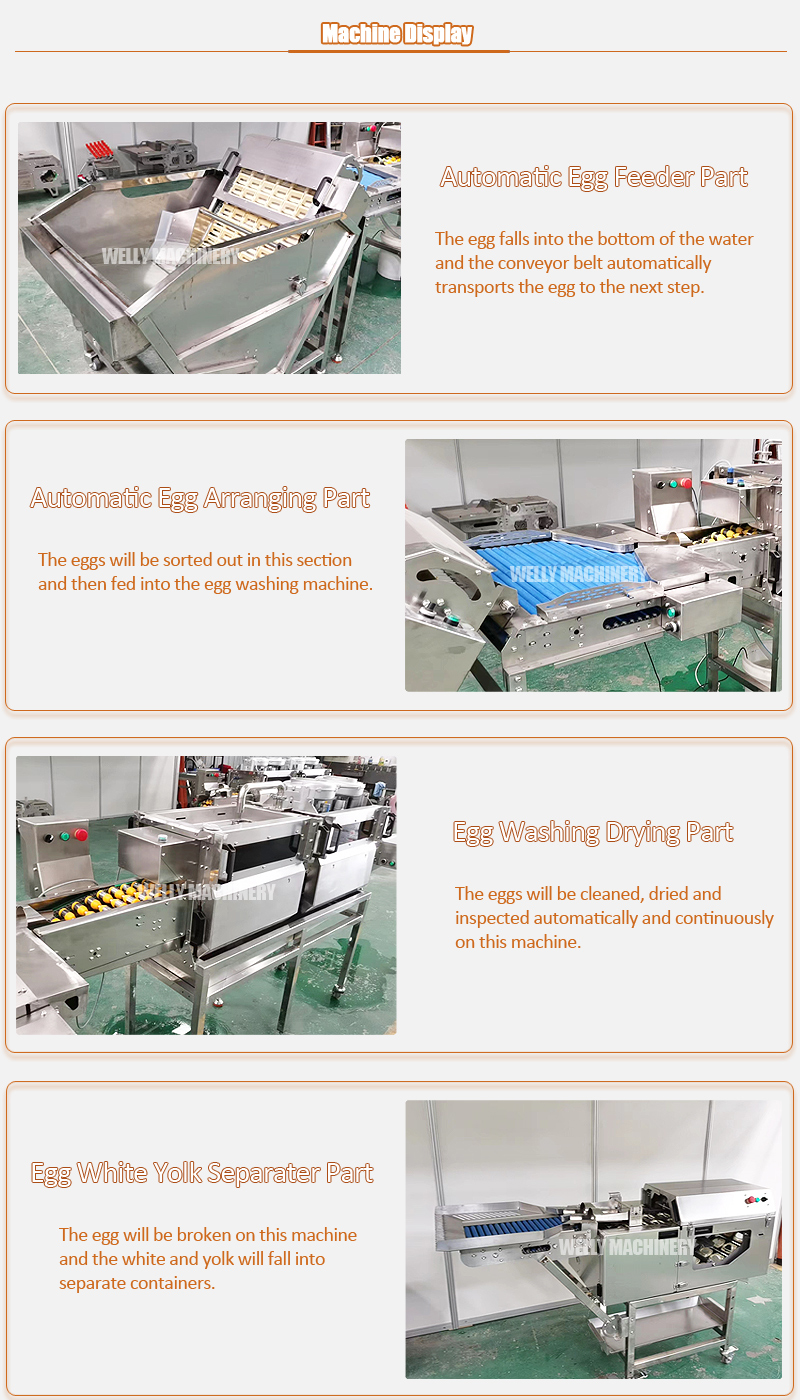 Industrial Mini Egg Washer: Washing, Cleaning, Shell Egg Cracker ...