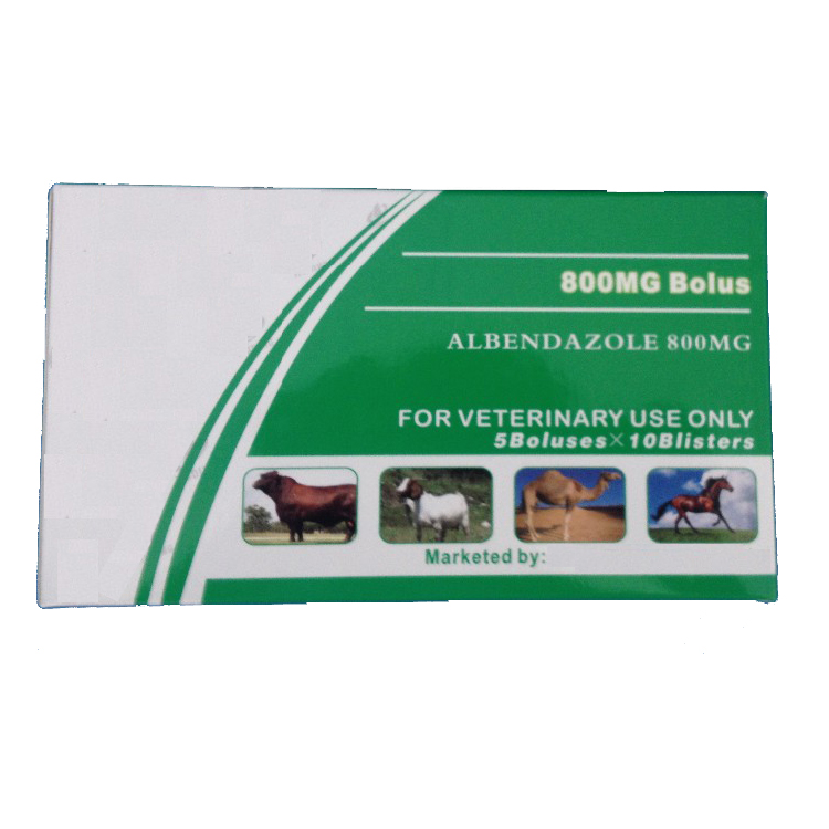 Albendazole Tablet 800mg Parasite Drugs, High Quality Albendazole ...