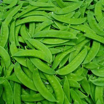 Snow Pea Fresh Vegetable, Green, Crispy, Small Orders Accepted, High ...