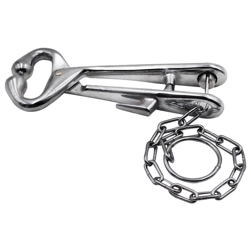 Bovine Handling Tools: Cattle Leaders Pliers And Bull Stabilizers, High ...