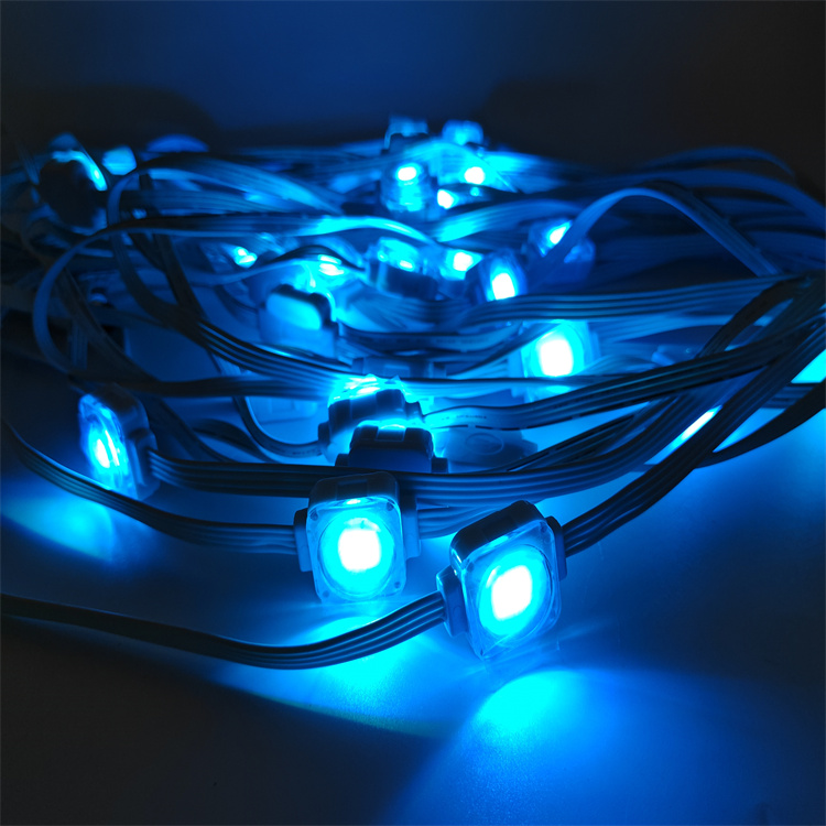 Dc12v Smd5050 Rgbw Permanent Outdoor Christmas Led Lights For Eaves ...