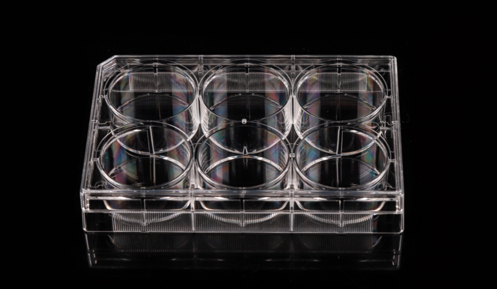TC-Treated 6 well Cell Culture Plates China Manufacturer