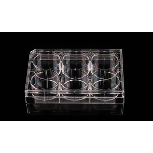 TC-Treated 6 well Cell Culture Plates China Manufacturers Suppliers ...