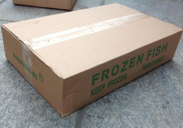 Fresh Frozen Pacific Mackerel Whole Round Fish, High Quality Fresh ...