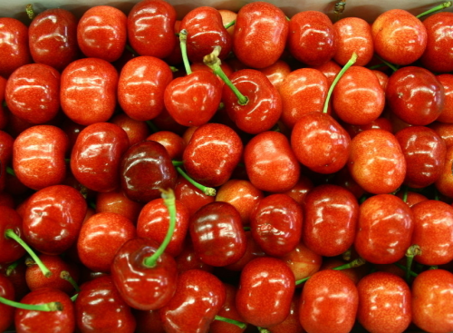 Red Cherry Fruit Tree Seeds For Growing, High Quality Red Cherry Fruit ...