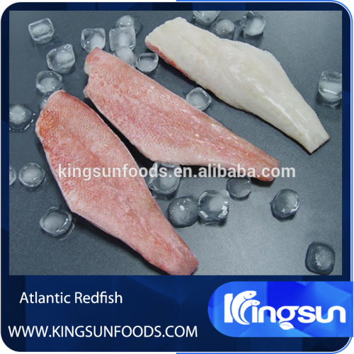 Fresh Ocean Perch Atlantic Redfish, High Quality Fresh Ocean Perch ...