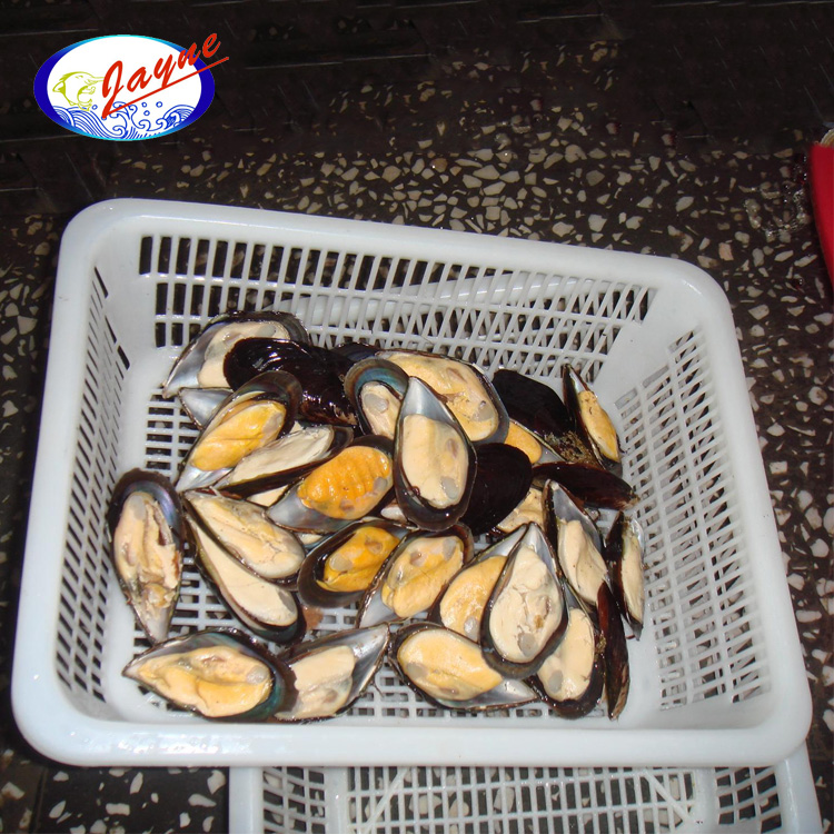 Frozen Half Shellmussel Meat Frozen Meat In Half Shell Frozen Mussels ...