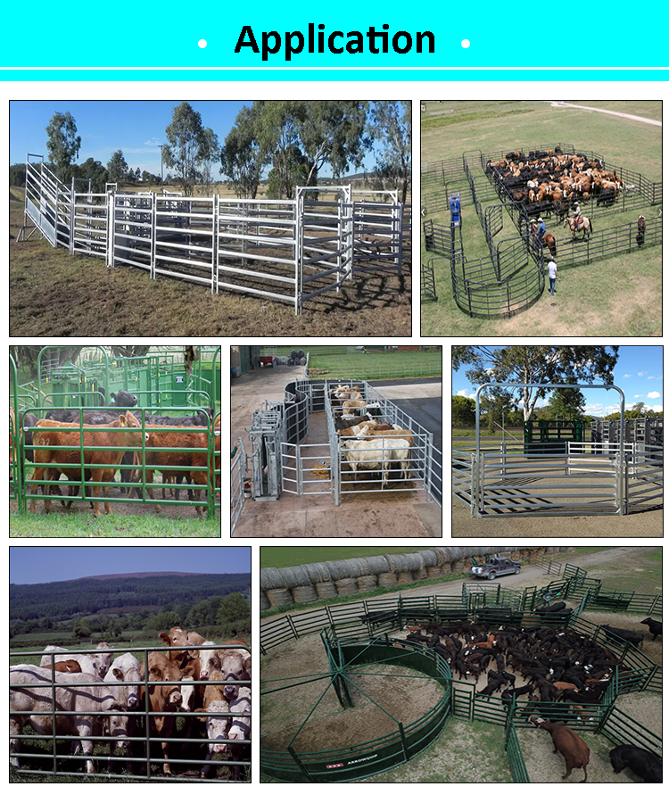 Factory Direct 6 Bar 20ft Continuous Livestock Fence Panels - Cattle ...