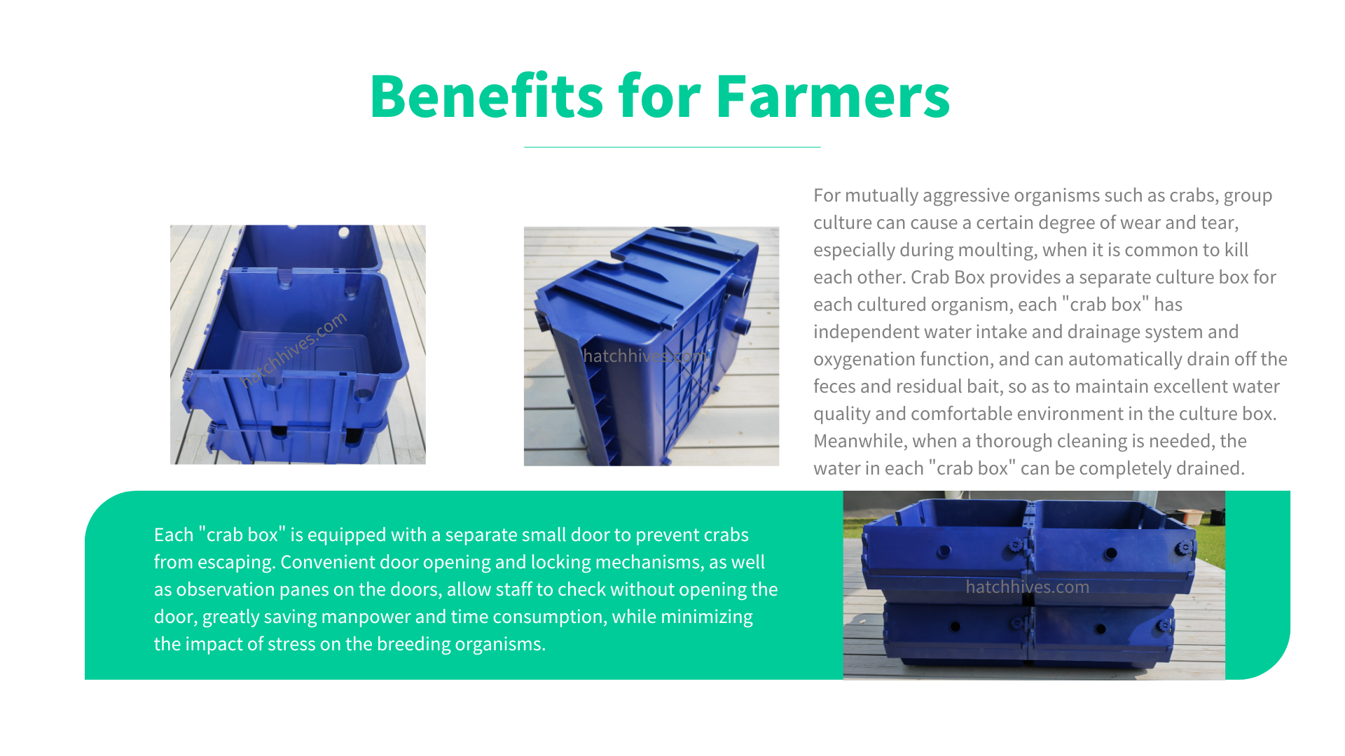 Vertical Farm Aquaculture: Crab Farming With Ras Recycled Water ...