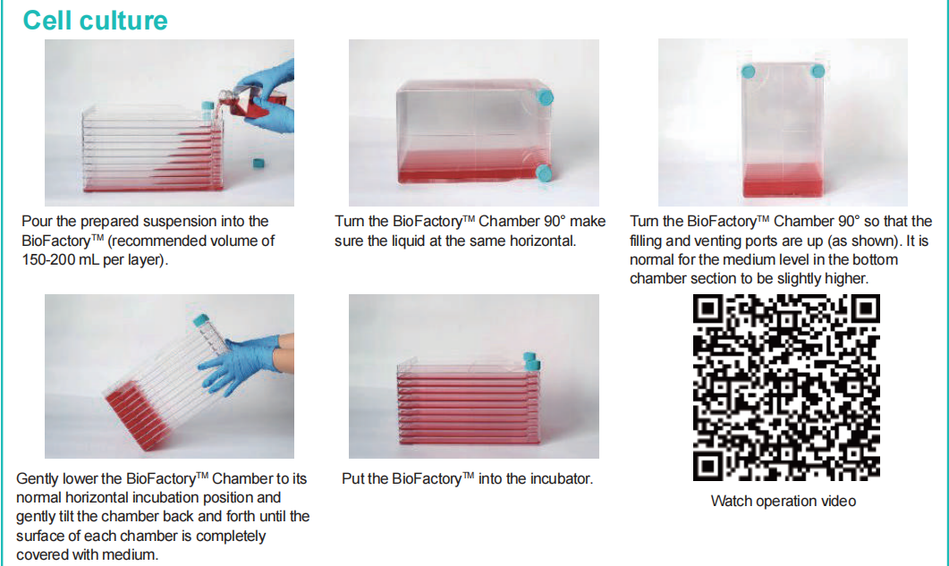 What you need to know about large scale cultivation (Issue 2 ...