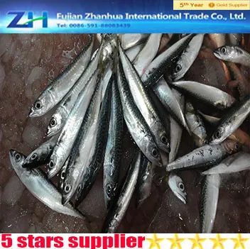 Frozen Fish Mackerel Frozen Indian Mackerel Fish Frozen Seafood ...