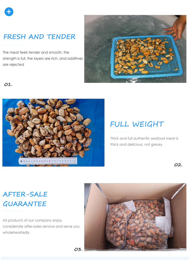 High Quality Cooked Whole Freshwater Shells Frozen Snacks Production ...