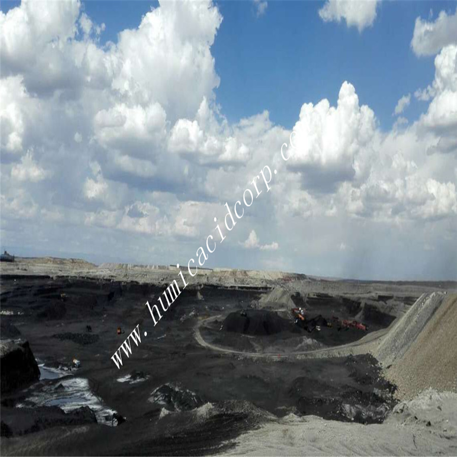 Leonardite เหมืองถ่านหินลิกไนต์ฮิวมิกกรด คุณภาพสูง Leonardite เหมือง ...