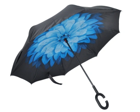 Factors to Consider When Choosing a Custom Umbrella