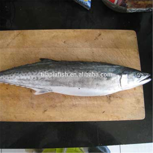 Pacific Sierra, High Quality Pacific Sierra on Bossgoo.com