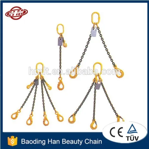 High Strength Two Leg Chain Slings En818-4, High Quality High Strength ...