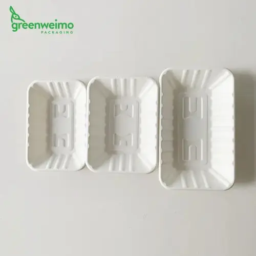 Eco Friendly Compostable Meat Catering Trays, High Quality Eco Friendly ...