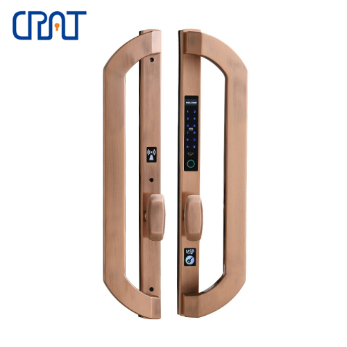 D Shape Fingerprint Broken Bridge Smart Door Lock, High Quality D Shape ...