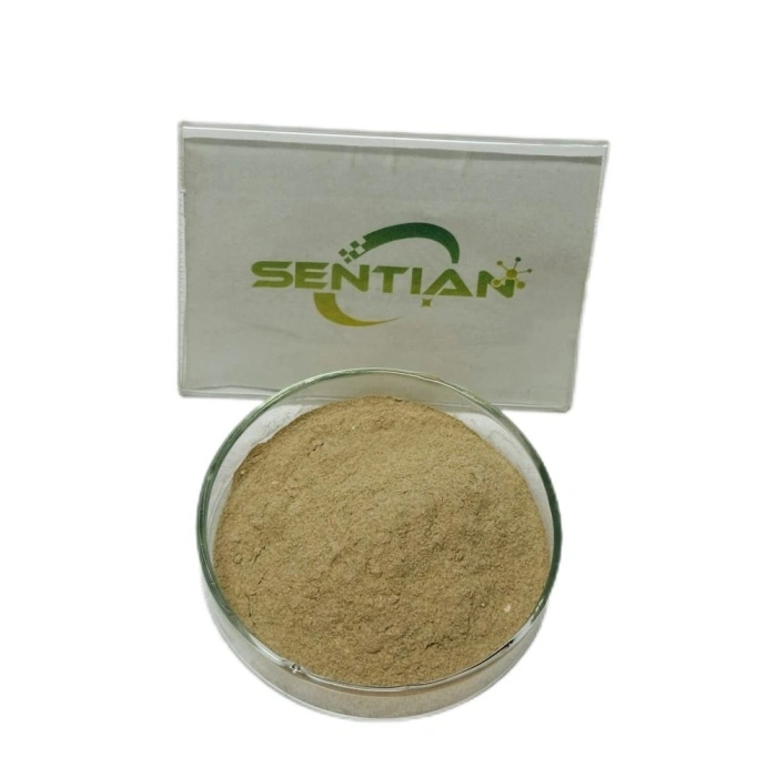 Rennet Enzyme for Cheese and Yogurt China Manufacturers Suppliers ...