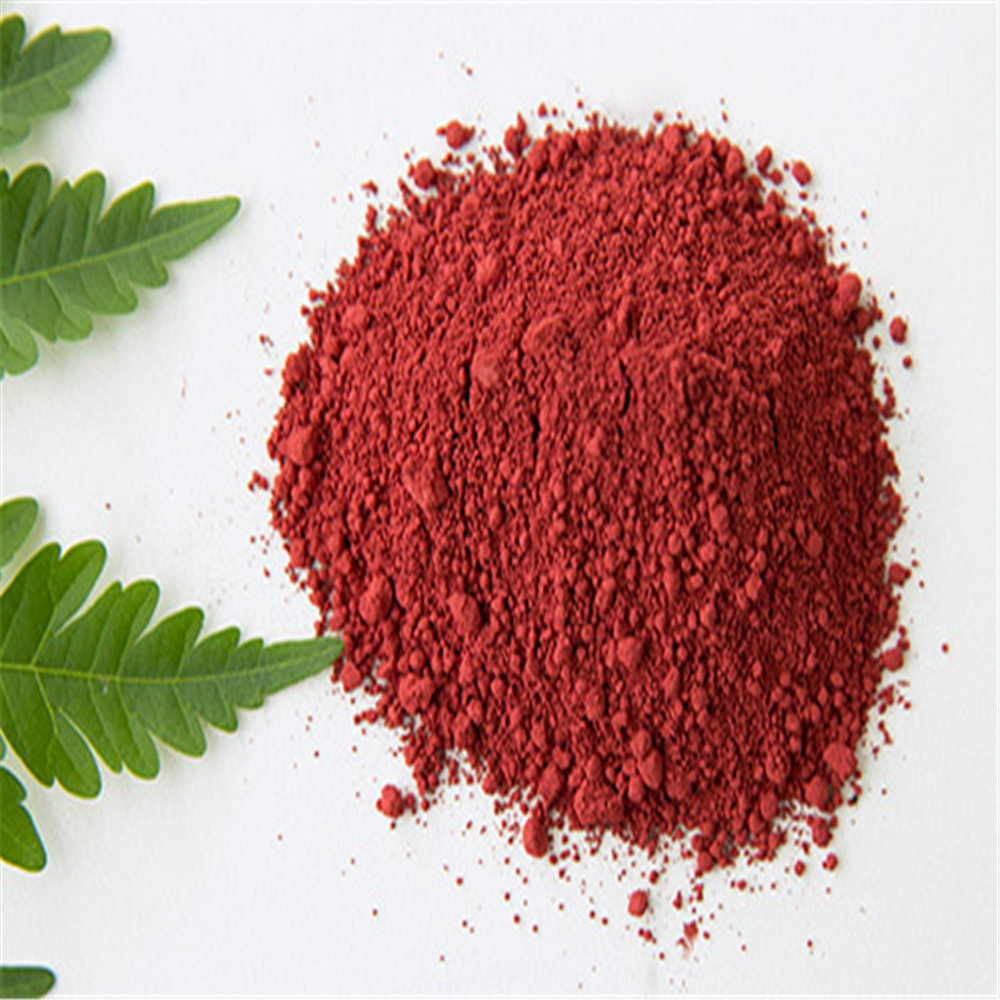 Red Oxide Iron Pigment Dyes Cement Colour China Manufacturer
