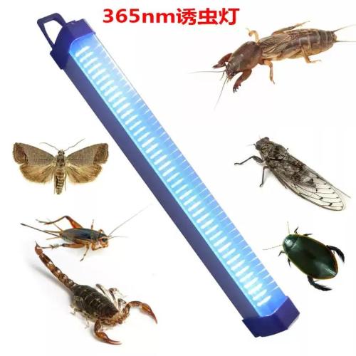 Outdoor Charging Insect Attracting Lamp, High Quality Outdoor Charging ...