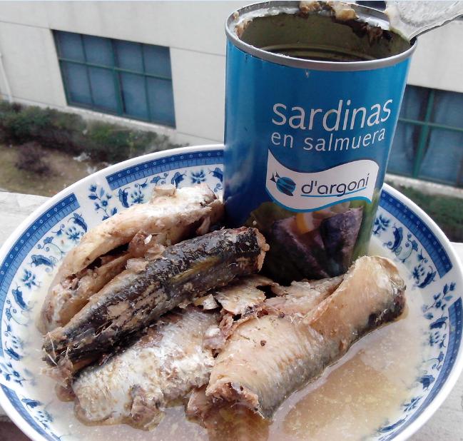 Canned Sardine in Water with Salt 155g