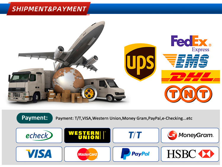 Spring Rod Snap Action 12v Dc Electrical Limit Switch For Industrial ...