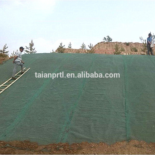 Hdpe 3d Erosion Control Mat (green/black Geomat)/em2-em5, High Quality ...