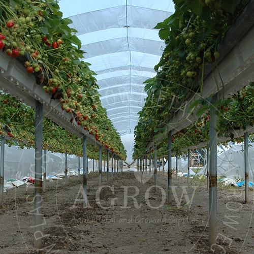 Table-top Strawberry Growing System, High Quality Table-top Strawberry ...