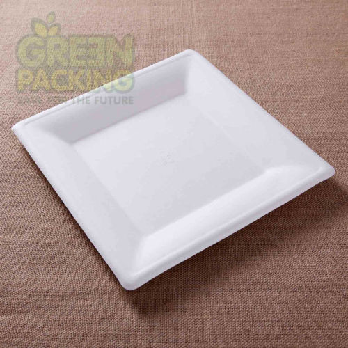 8 Inch Square Sugarcane Microwaveable Biodegradable Plate, High Quality ...