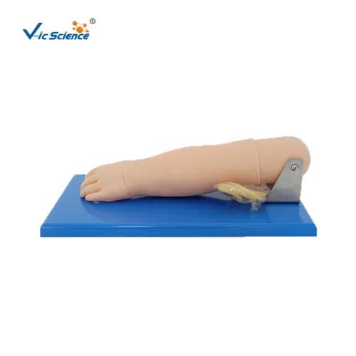 Advanced Pediatric Venipuncture Arm Model, High Quality Advanced ...