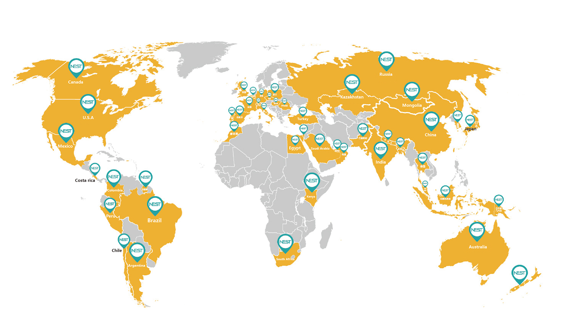Cell Culture,Disposable Labware, Lab equipment, Lab Equipment ...