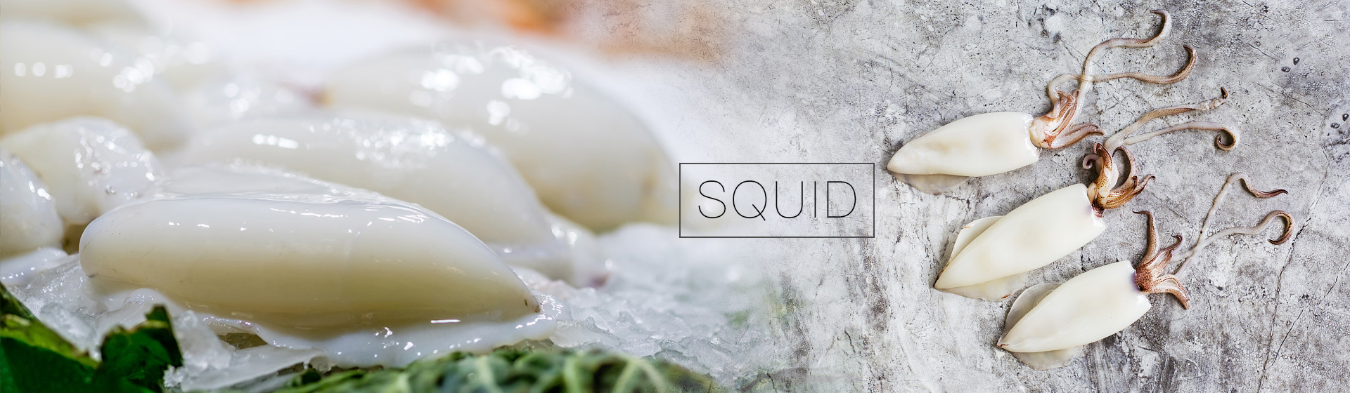 squid roe, China Manufacturer, Factory.