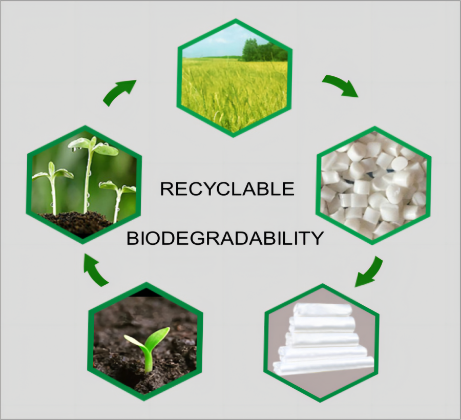 China Biodegradable Bags,Biodegradable Bags For Food,Biodegradable Bags ...